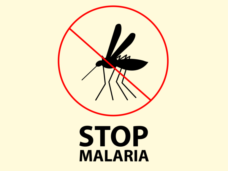 10 Ways to Prevent Malaria in Nigeria – MedProSearch
